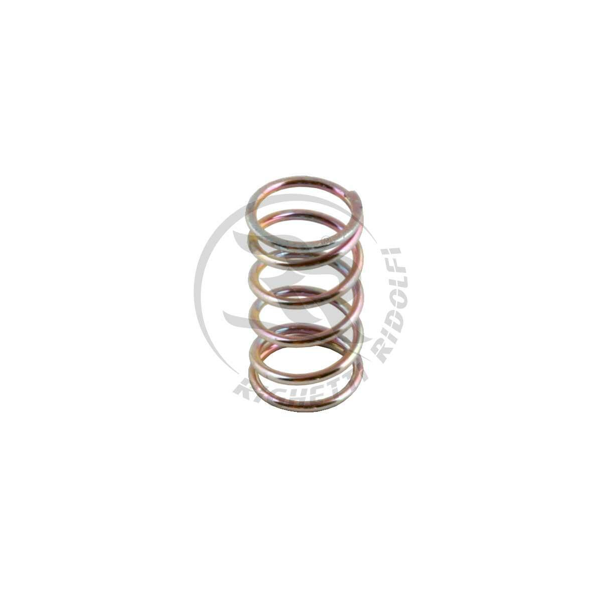 Return Spring for pad bolt 2x2 soft type | Righetti e Ridolfi
